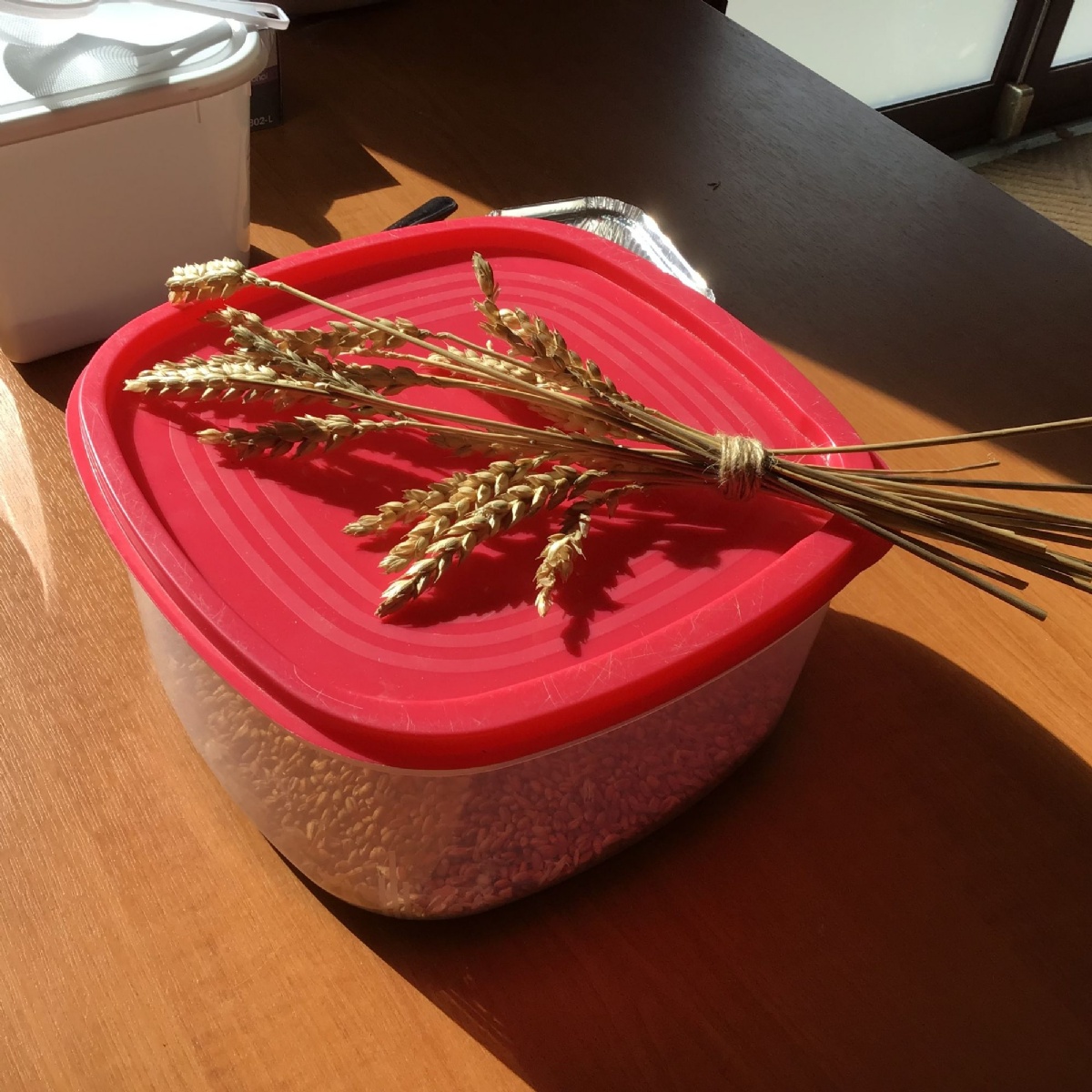 Cowbit St Mary's Endowed Church of England Primary School - Visit to ...