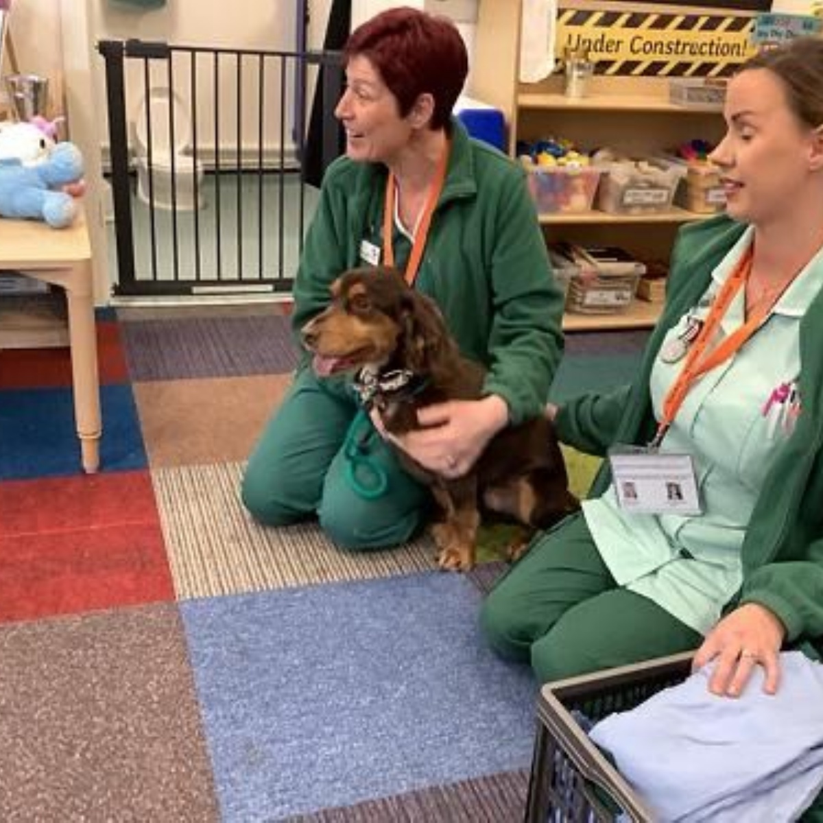 Cowbit St Mary's Endowed Church of England Primary School - Riverside Vets