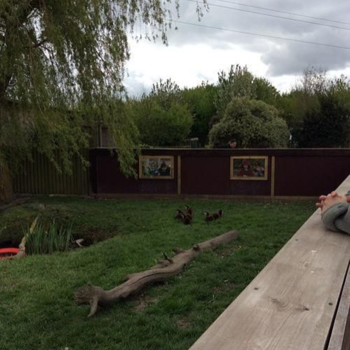 Cowbit St Mary's Church of England Academy - Lincolnshire Wildlife Park